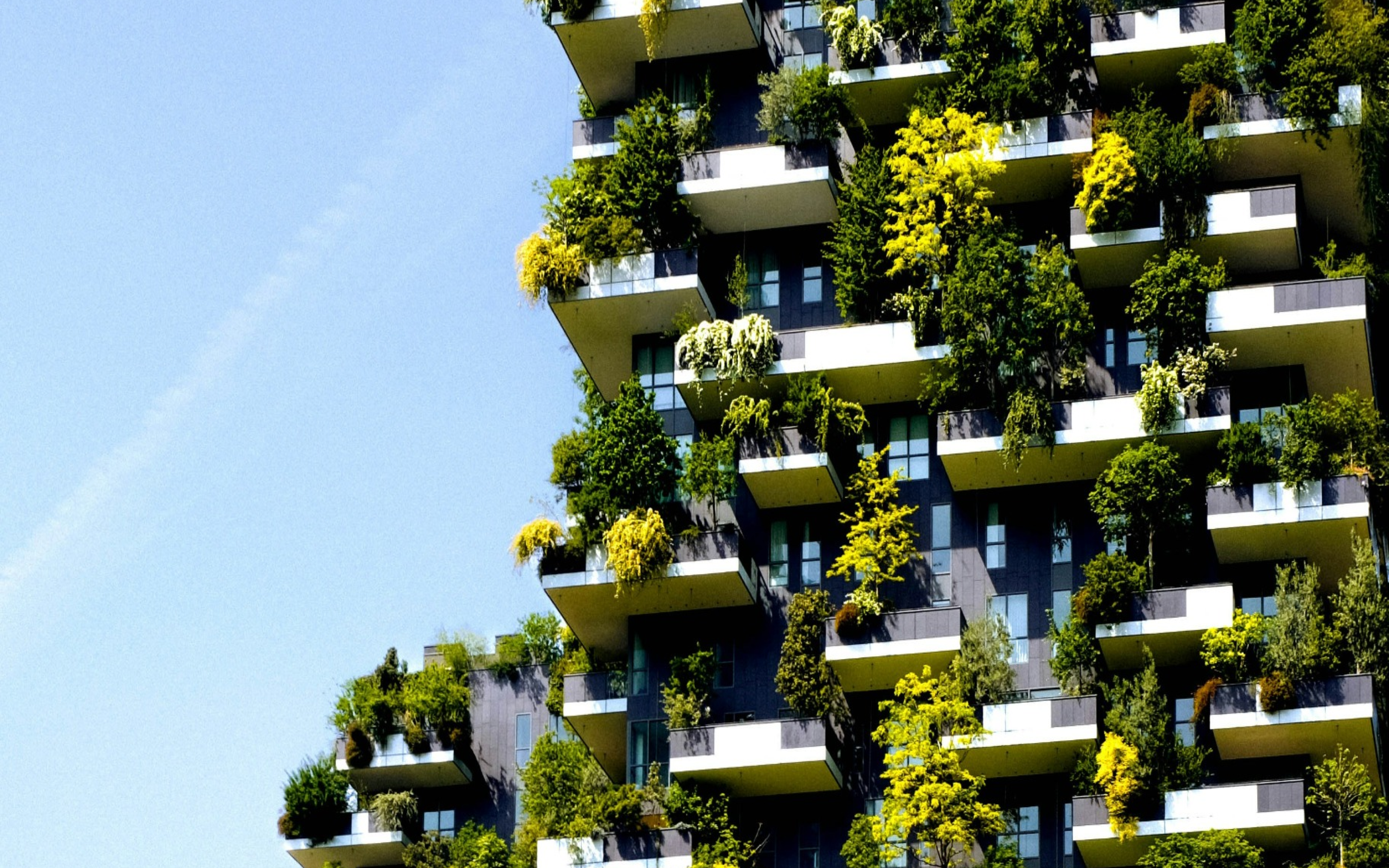 Green Finance Institute