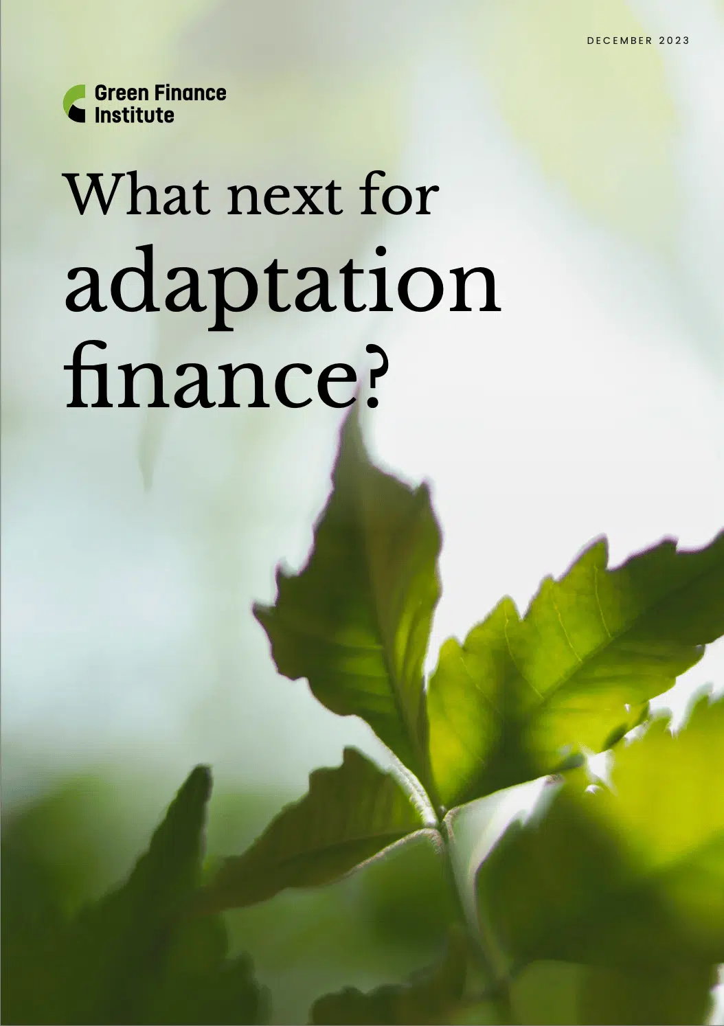 Green Finance Institute