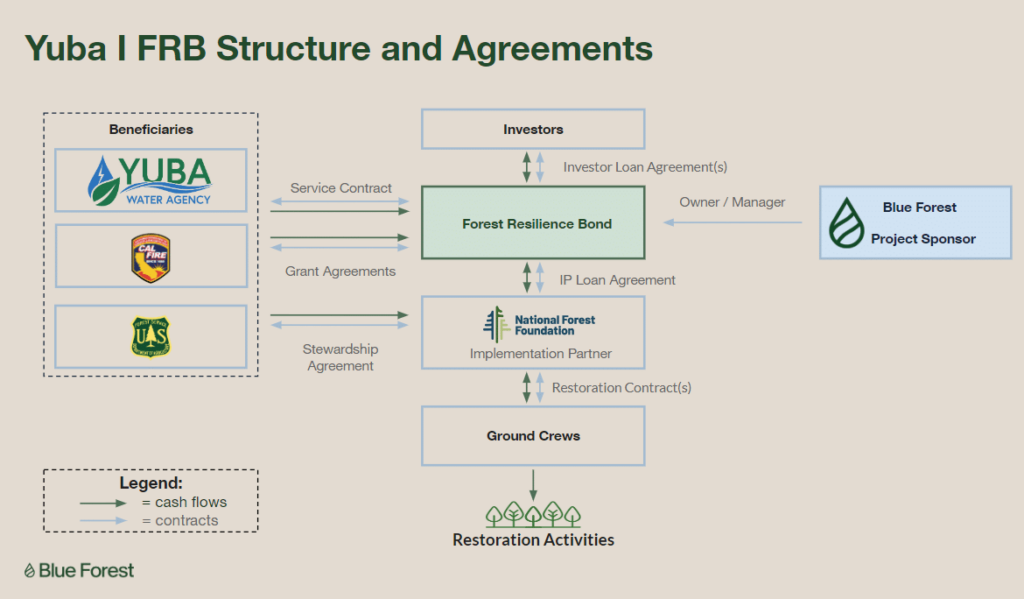 Green Finance Institute
